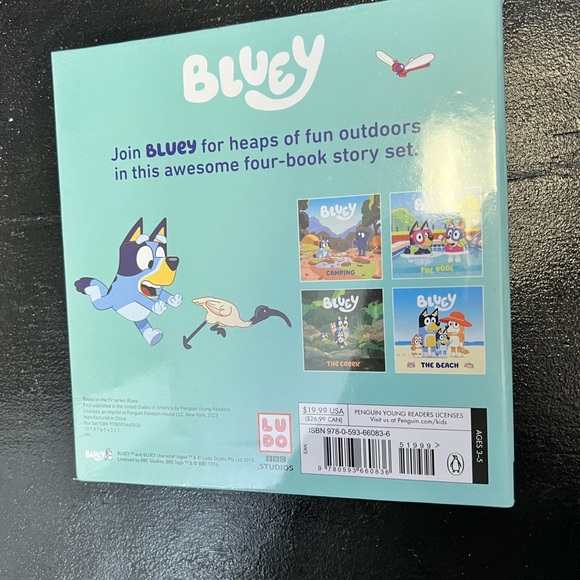 Bluey | Toys | Bluey Bluey Outdoor Fun Box Set | Poshmark